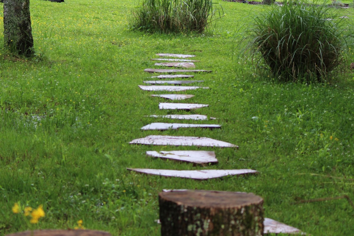 New Category, New Adventures | Wandering Poet Adventures