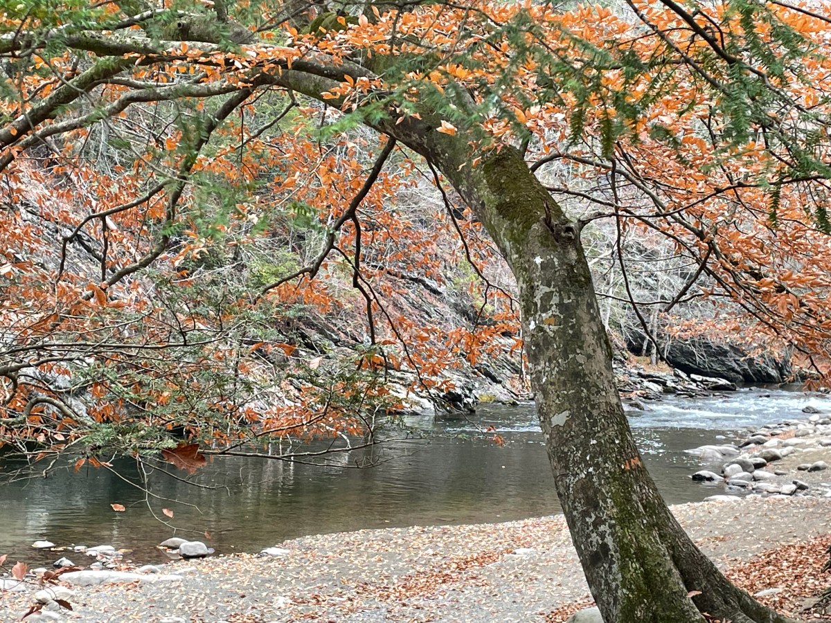 The Poetry Corner | Wandering Poet Adventures